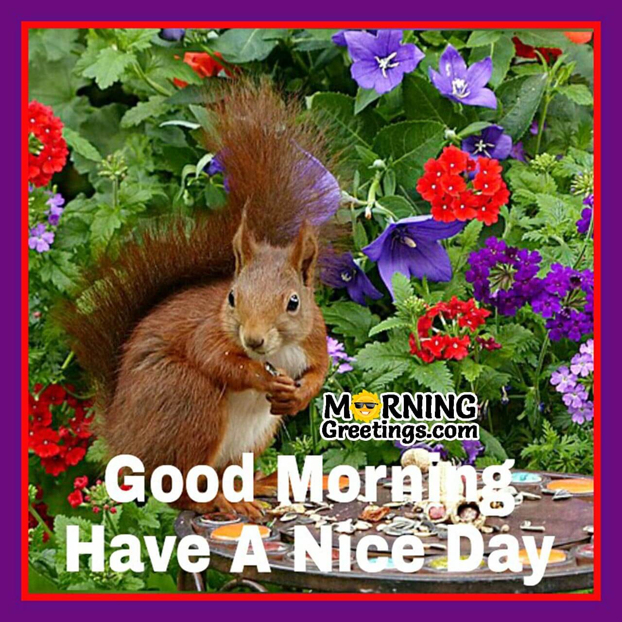 Good Morning Wishes For Animal Lovers | Pet Love at Sunrise