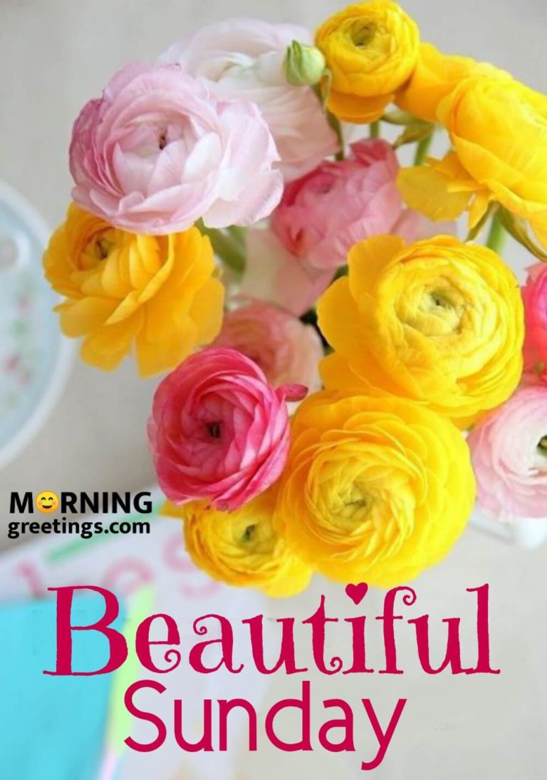 40 Wonderful Happy Sunday Morning Images - Morning Greetings – Morning ... 40 Wonderful Happy Sunday Morning Images - Morning Greetings – Morning ...