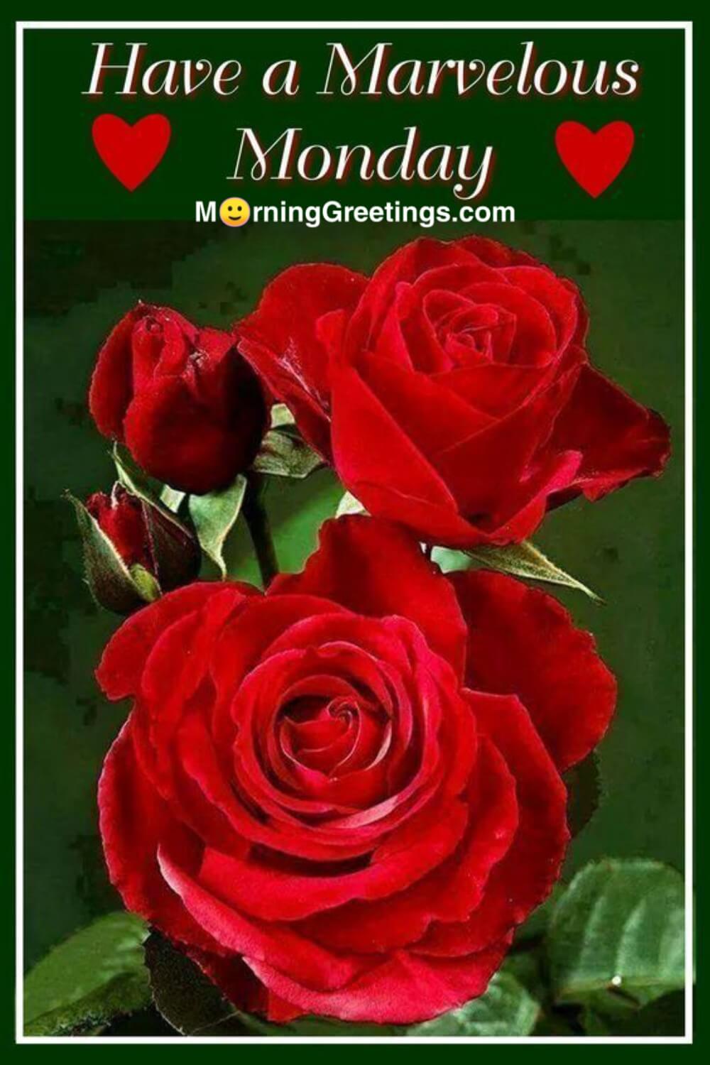 Have A Happy Monday Images