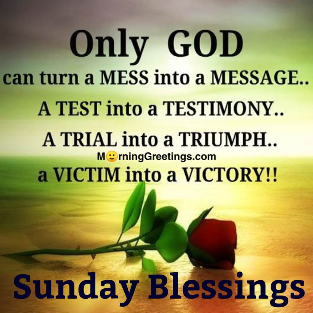 40 Wonderful Happy Sunday Morning Images - Morning Greetings – Morning ... 40 Wonderful Happy Sunday Morning Images - Morning Greetings – Morning ...