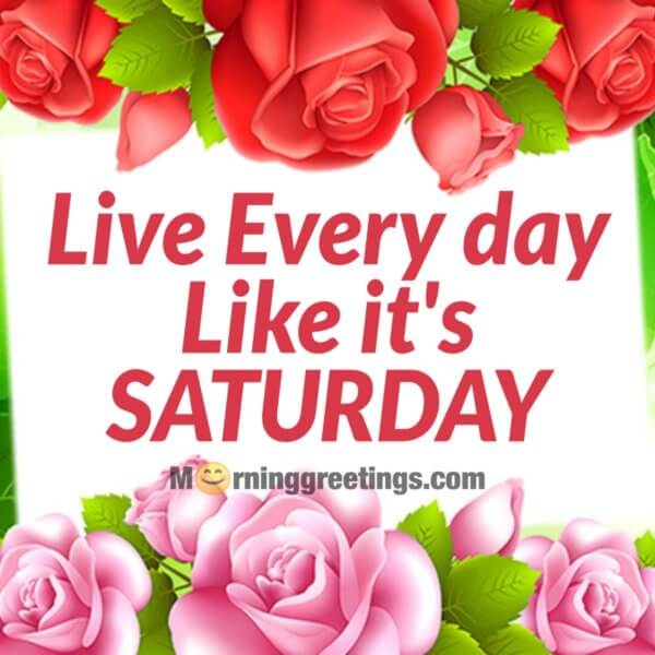 50 Splendid Saturday Quotes Wishes Pics Morning Greetings Morning Quotes And Wishes Images