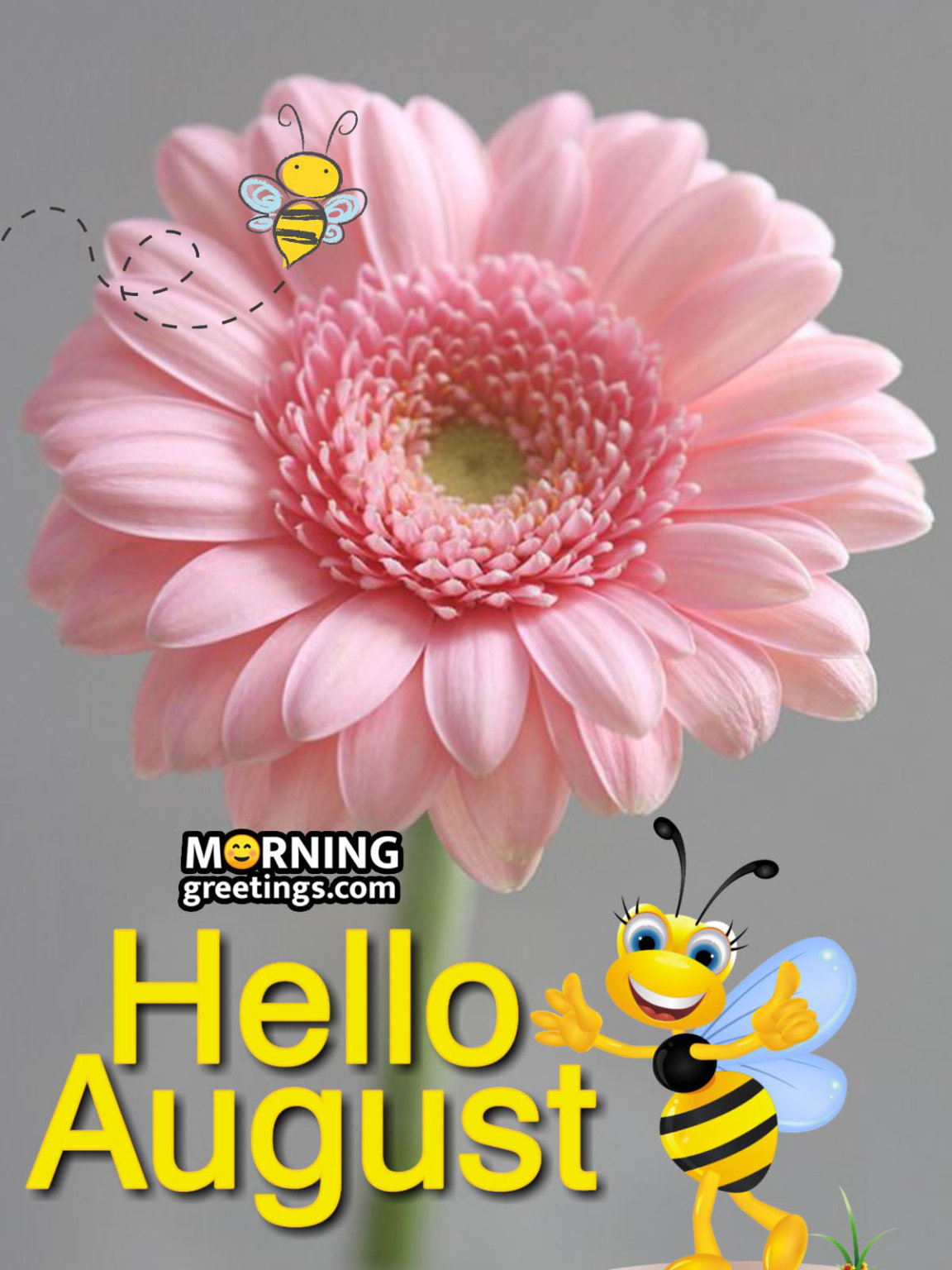 40 Best August Morning Quotes And Wishes - Morning Greetings – Morning ...