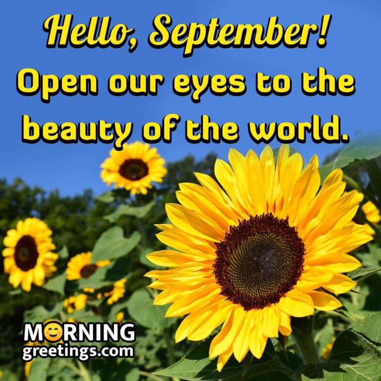 40 Best September Morning Quotes And Wishes - Morning Greetings ...
