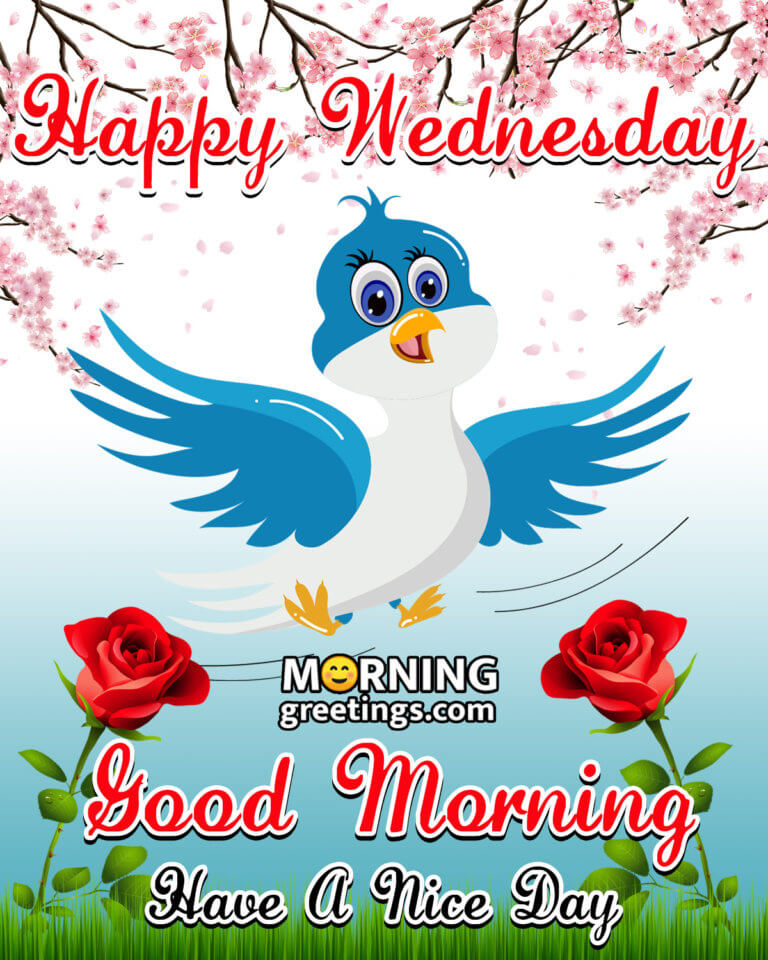 50 Good Morning Happy Wednesday Images - Morning Greetings – Morning ...