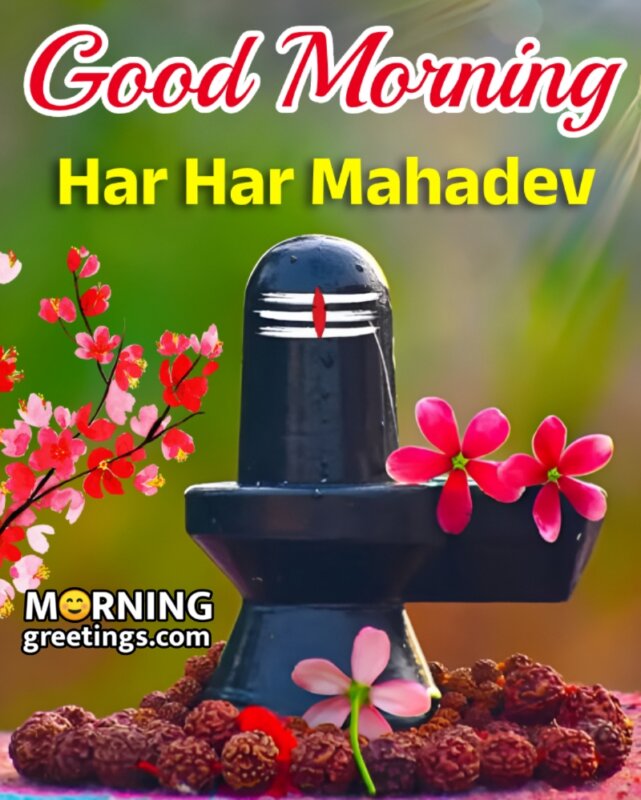 Good Morning Lord Shiva Blessings – Har Har Mahadev - Morning Greetings ...